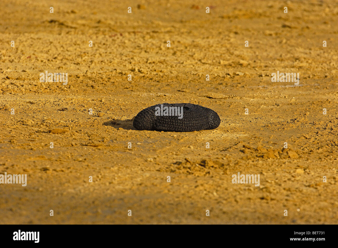 Malaga bullfighting fair hi-res stock photography and images - Alamy