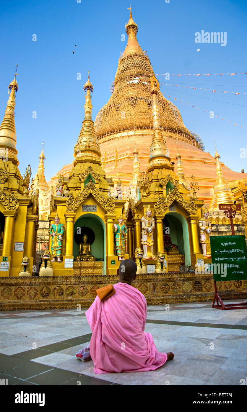 Young Lady monk praying at the Shwedagon Paya, the most sacred buddhist ...