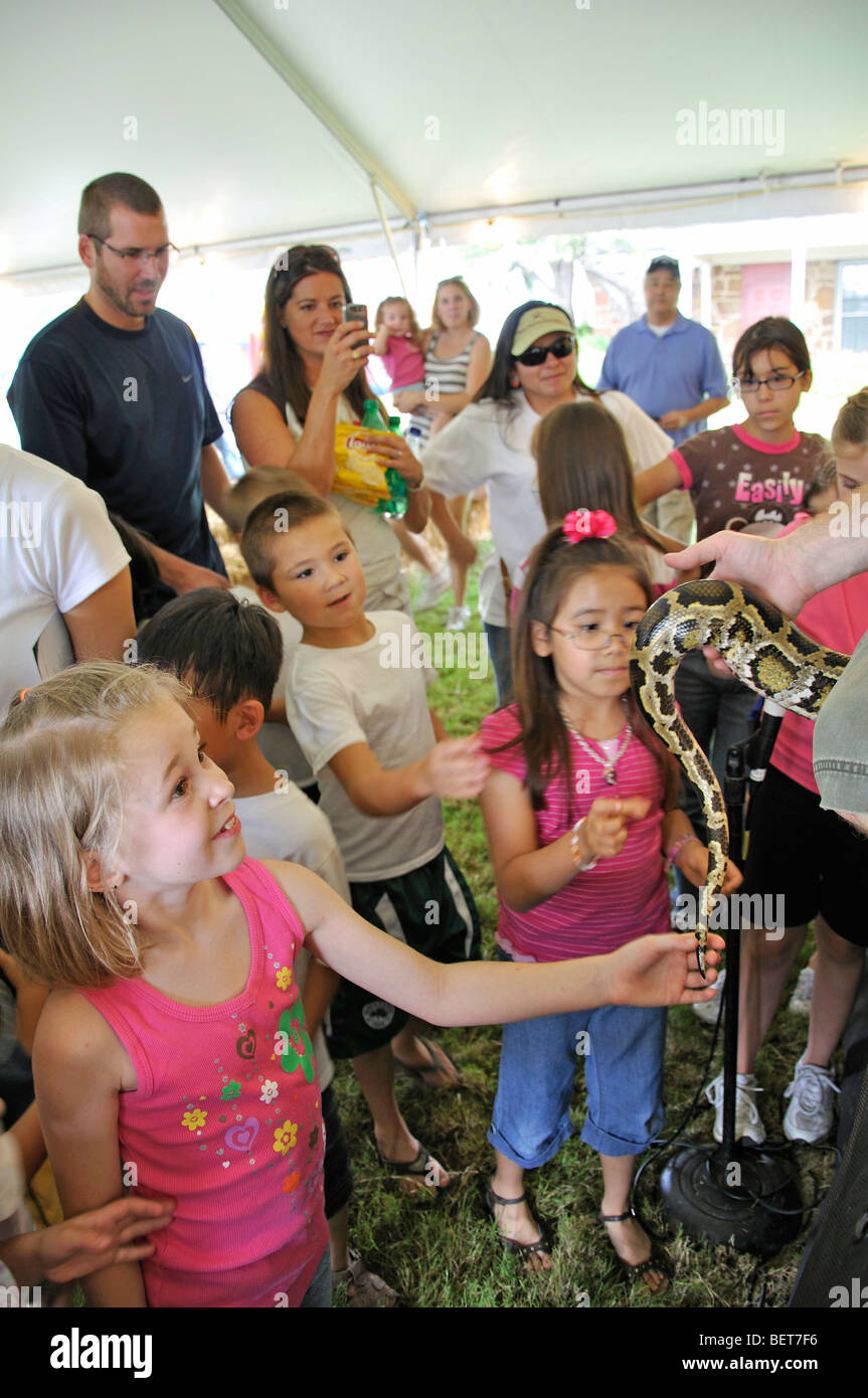 Kids touching Burmese python at animal show Stock Photo - Alamy