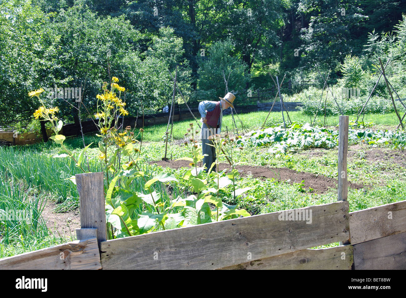 Farmer - American Revolutionary War (1770's) era reenactment Stock ...