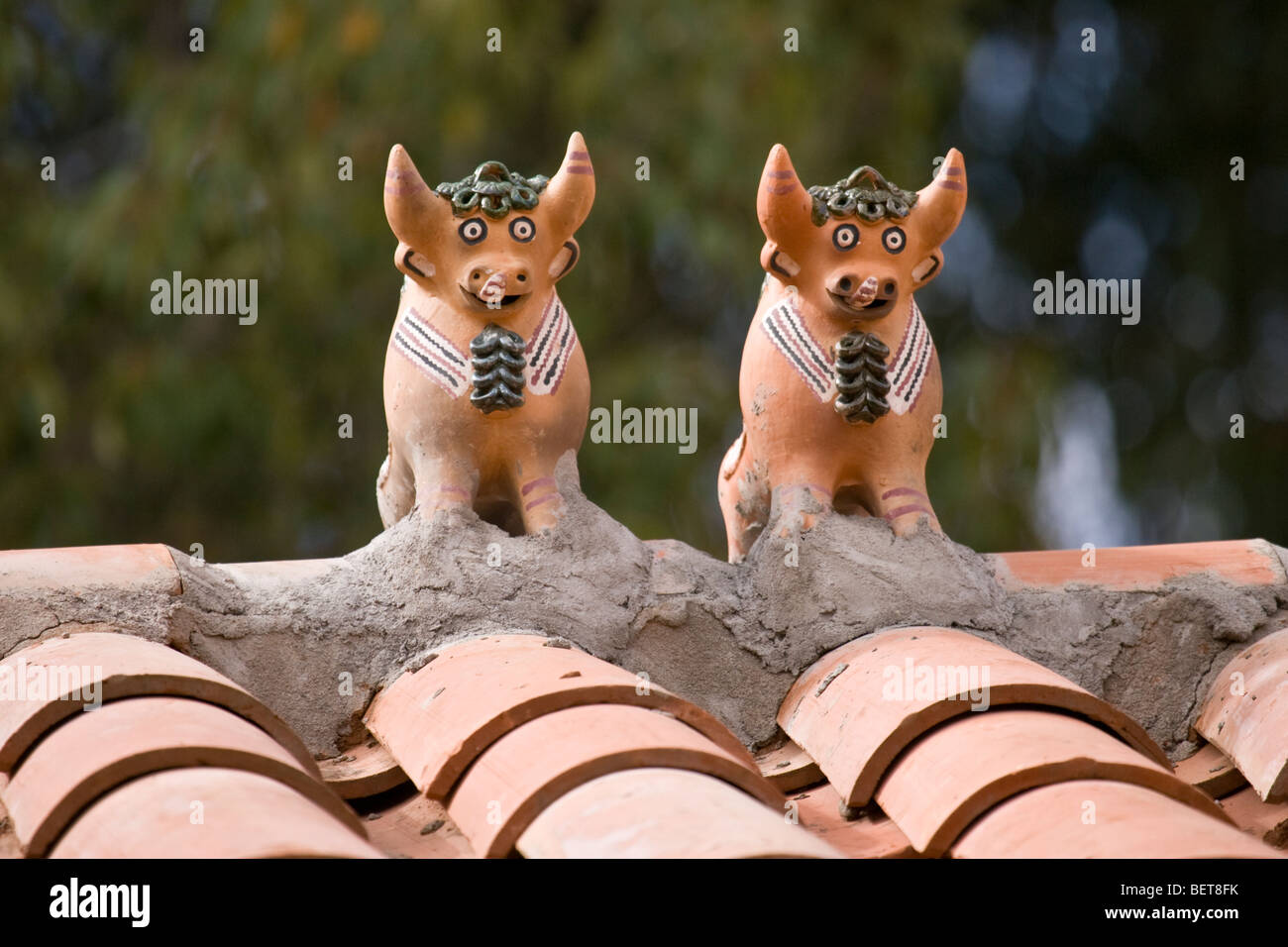 Toritos hi-res stock photography and images - Alamy