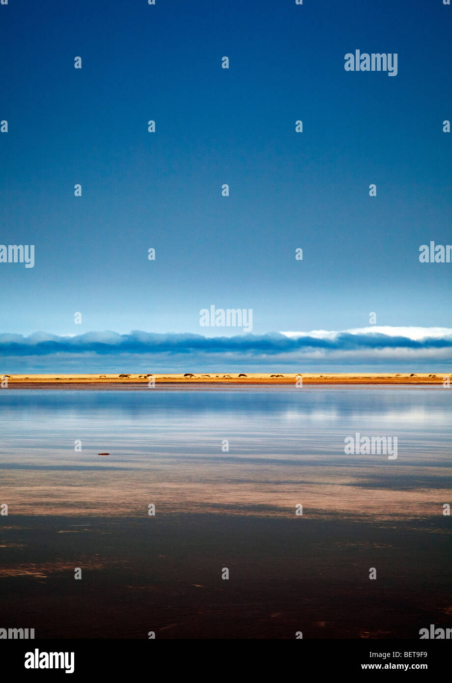 Namibian salt flats hi-res stock photography and images - Alamy