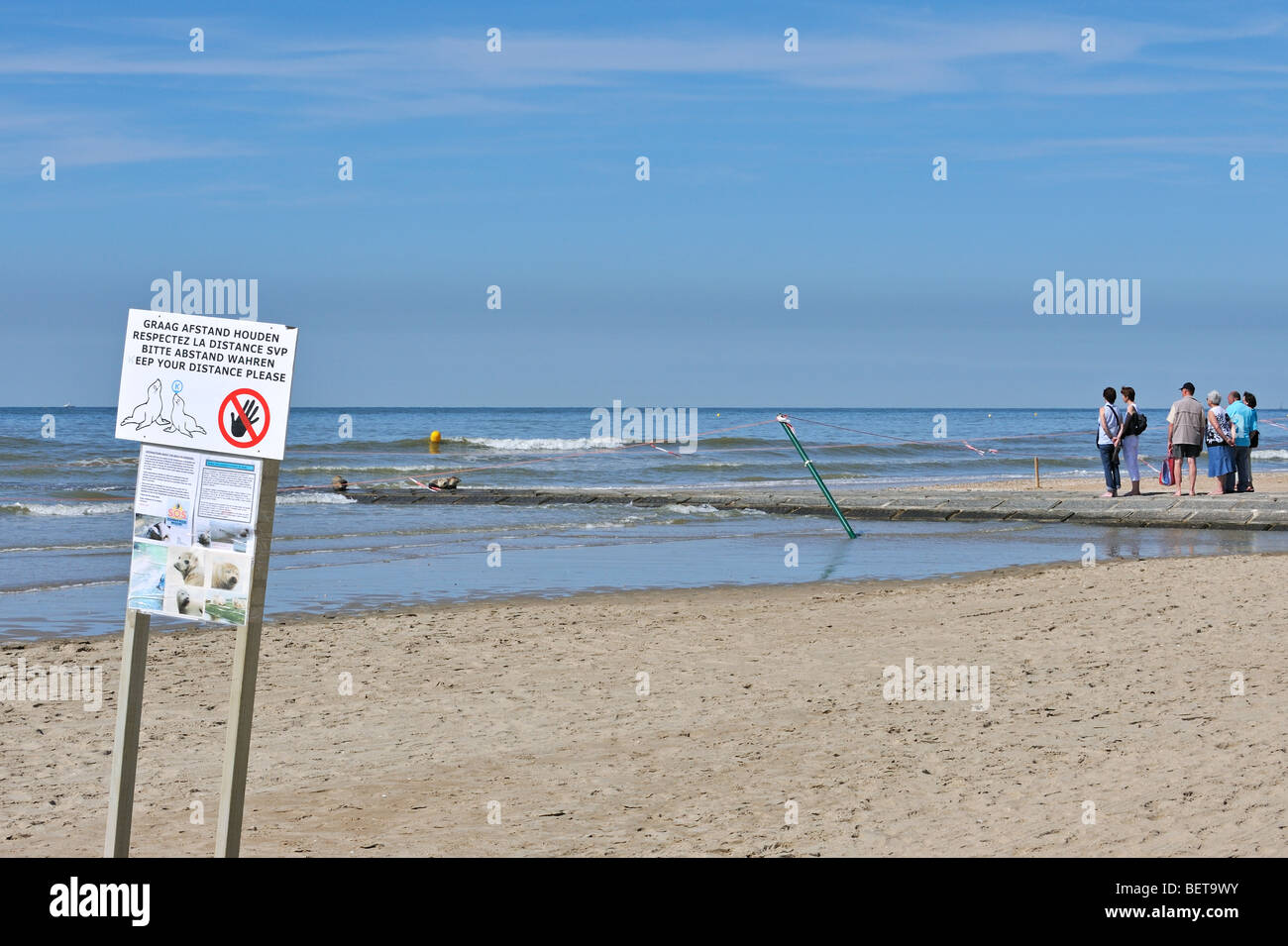 Warning sign and tourists looking at common seals / harbour seal ...
