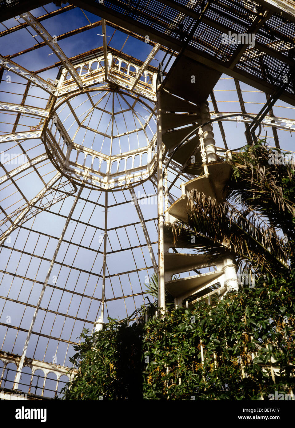 UK, England, Liverpool, Sefton Park Palm House interior before ...