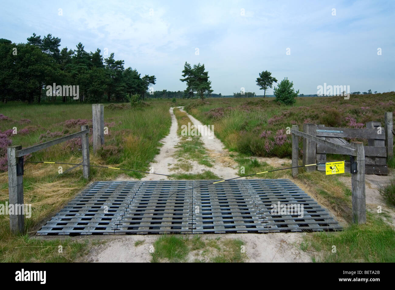 Steel cattle grid in sheep enclosure in heathland Stock Photo - Alamy