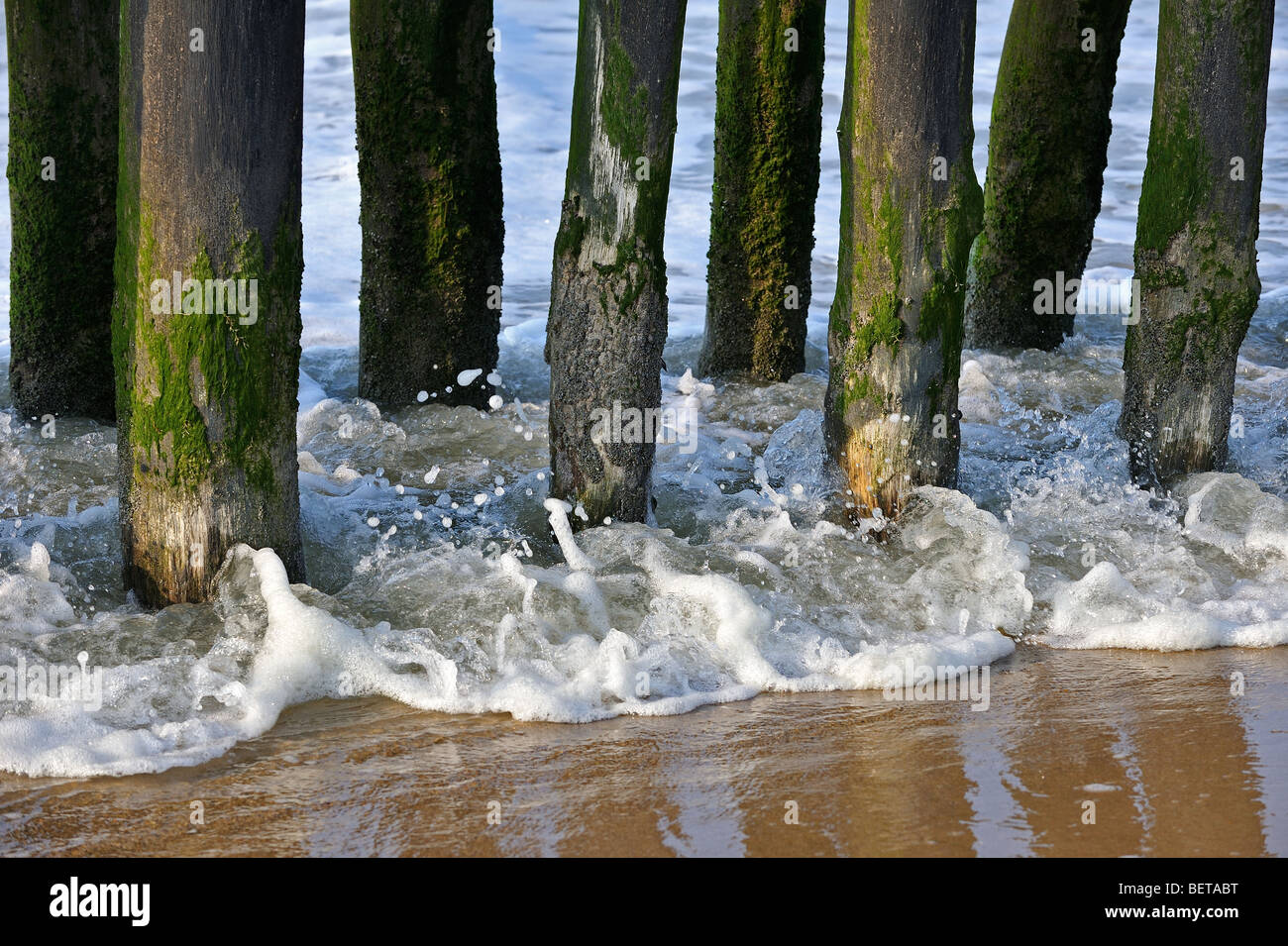 Groin water waves beach poles hi-res stock photography and images - Alamy