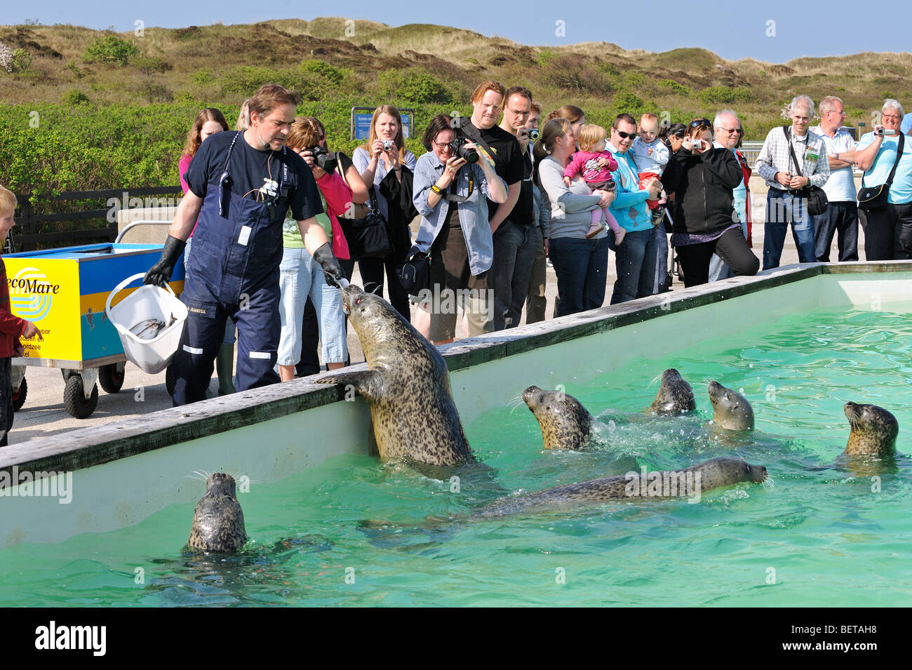 Keeper of the seal hi-res stock photography and images - Alamy