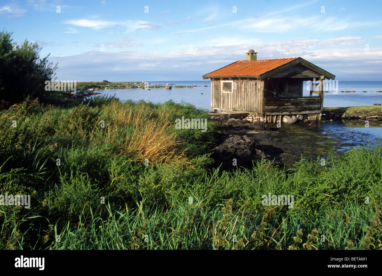 Cabin at the coast of Oland, Sweden Stock Photo - Alamy