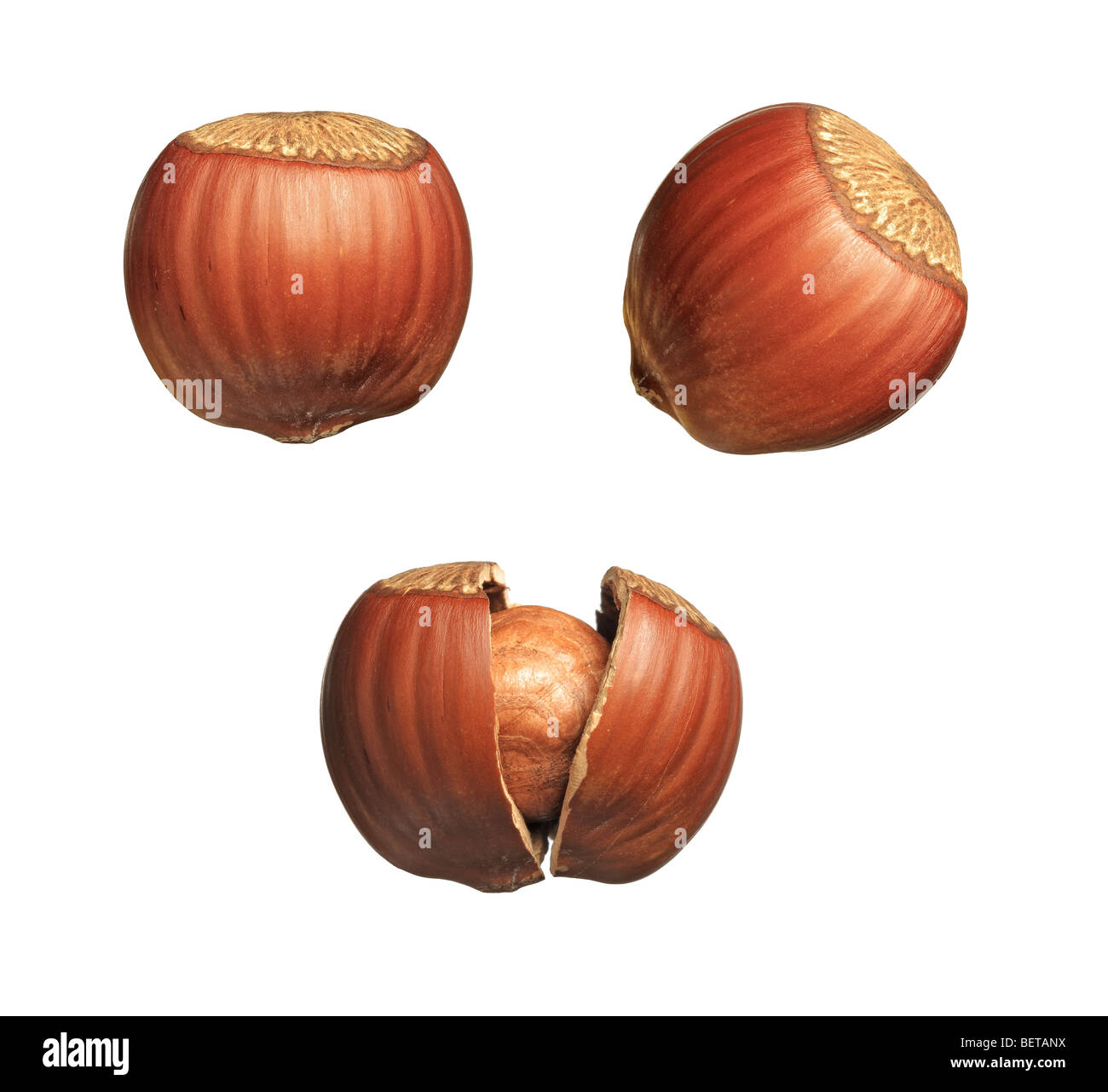 Isolated nuts on white background Stock Photo - Alamy