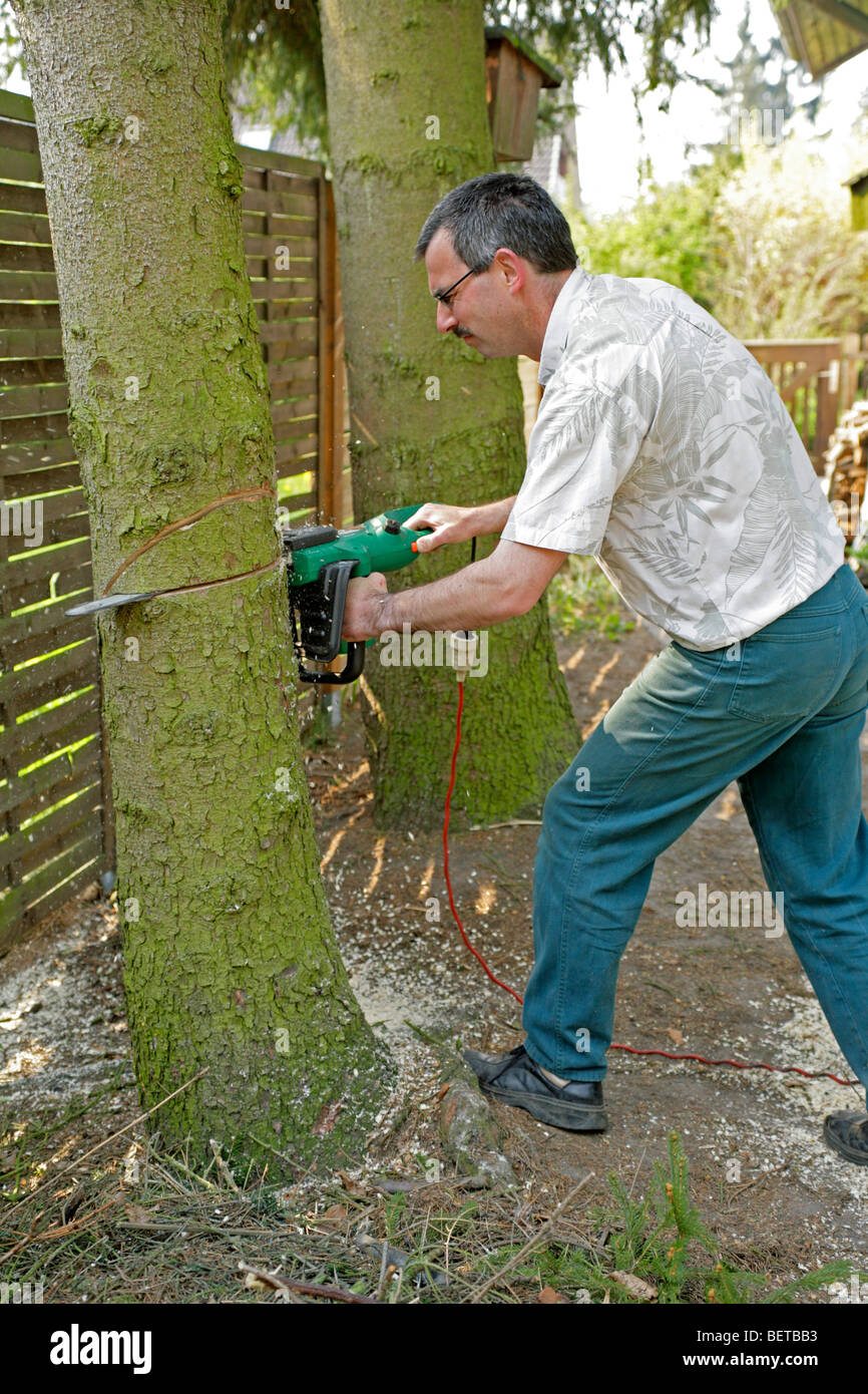 man felling a tree in his back garden Stock Photo - Alamy