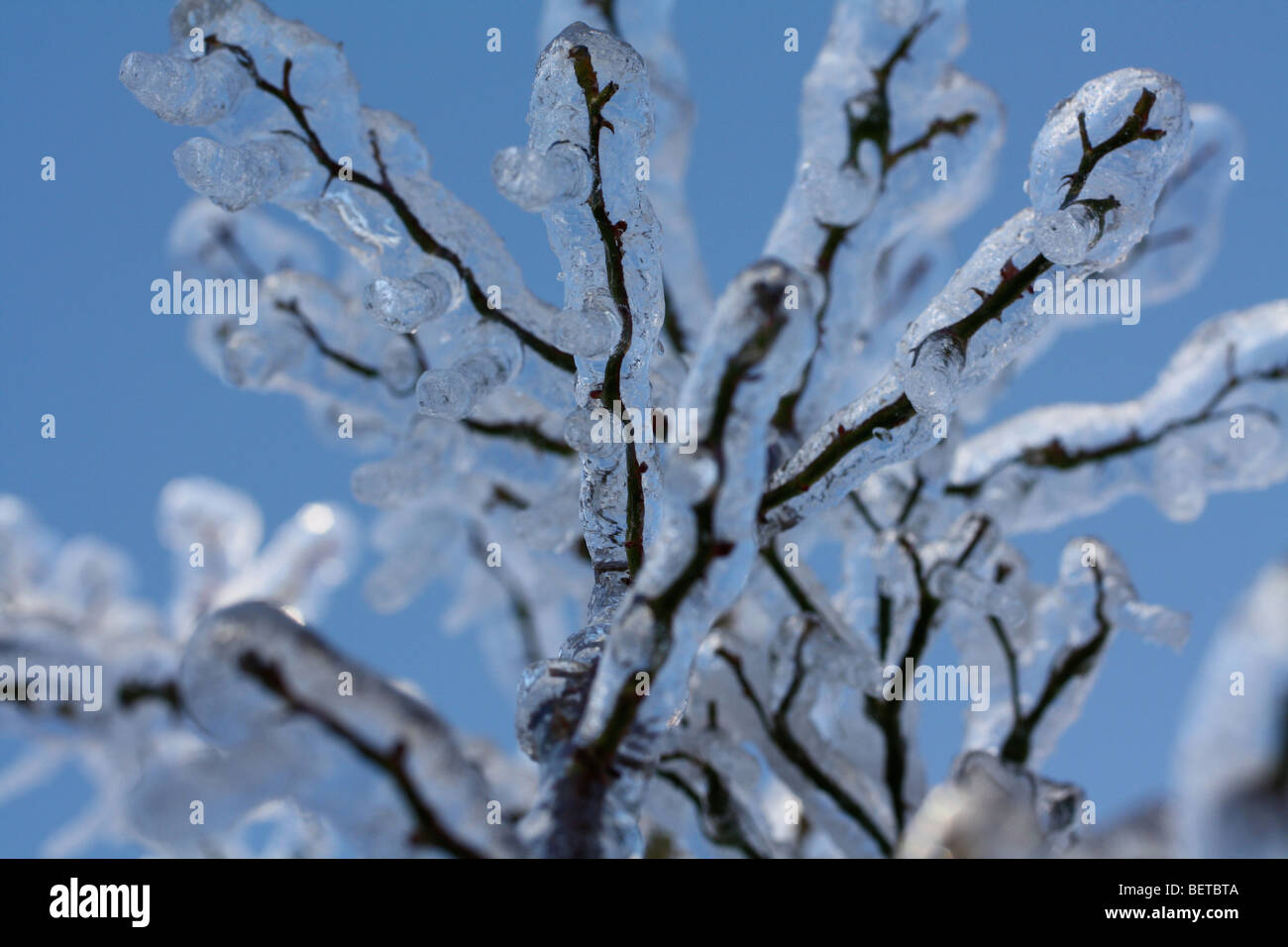 Ice coating hi-res stock photography and images - Alamy