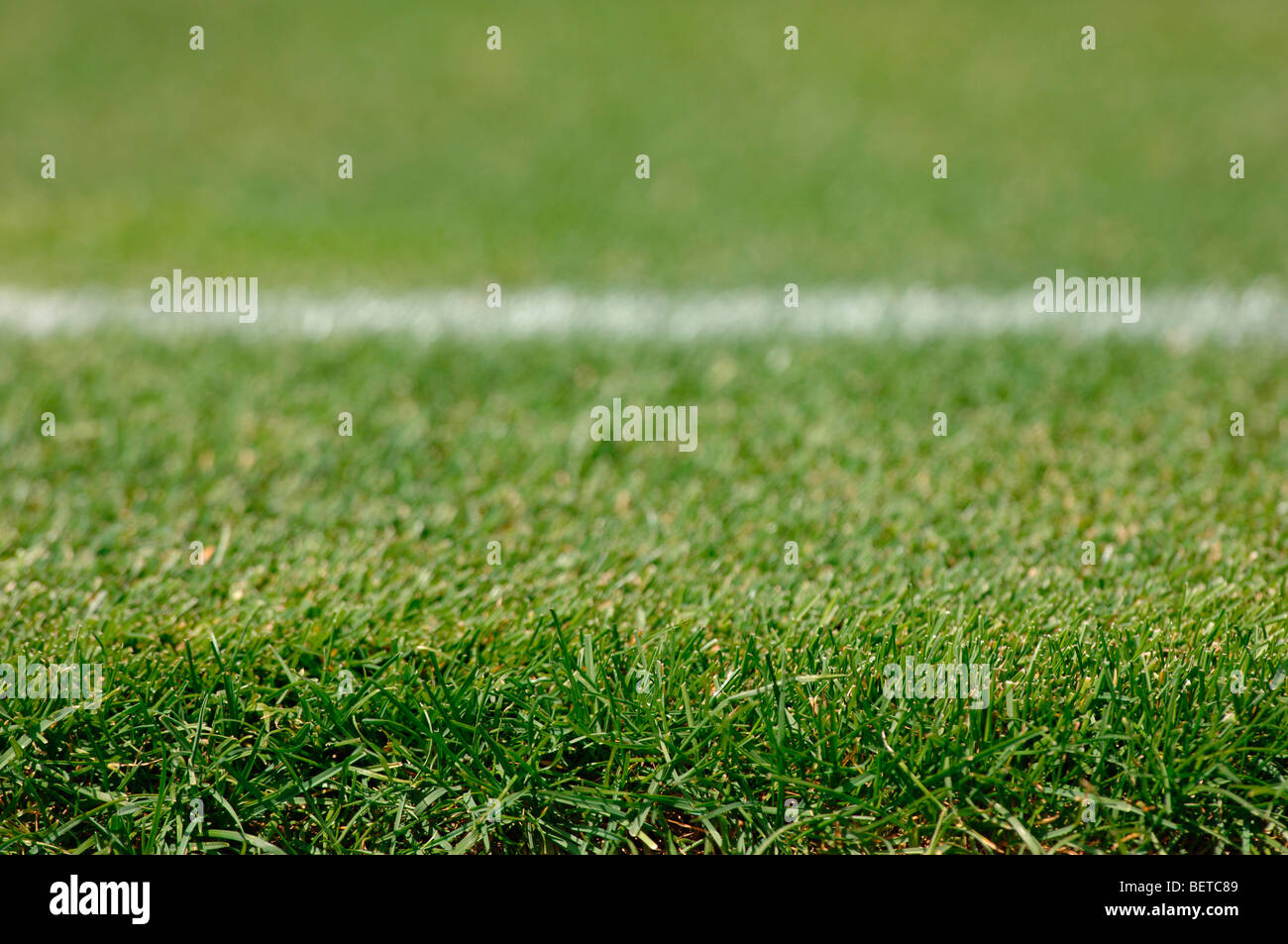 Ground level view of a sports field Stock Photo - Alamy