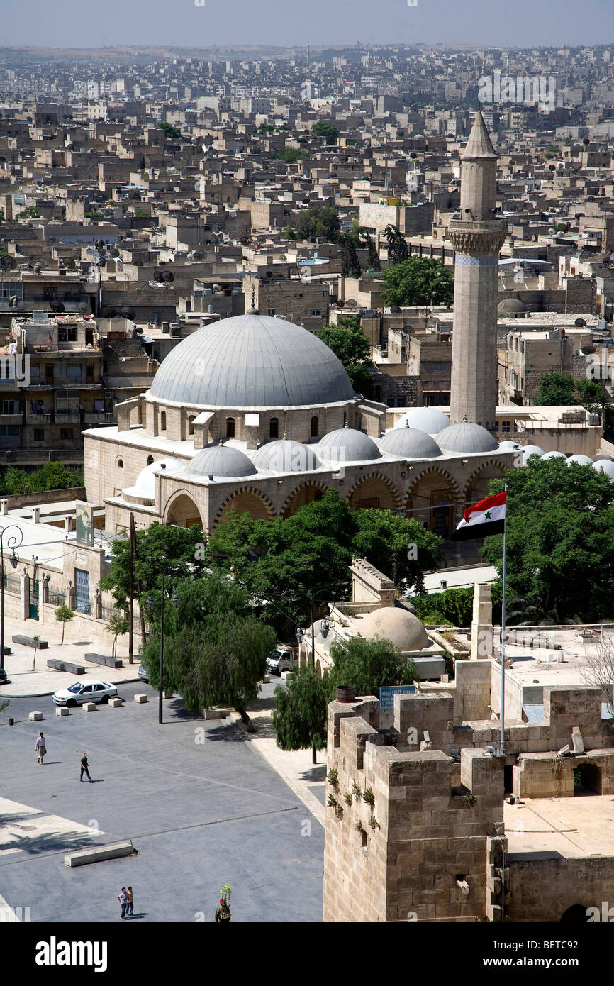 Aleppo tree hi-res stock photography and images - Alamy