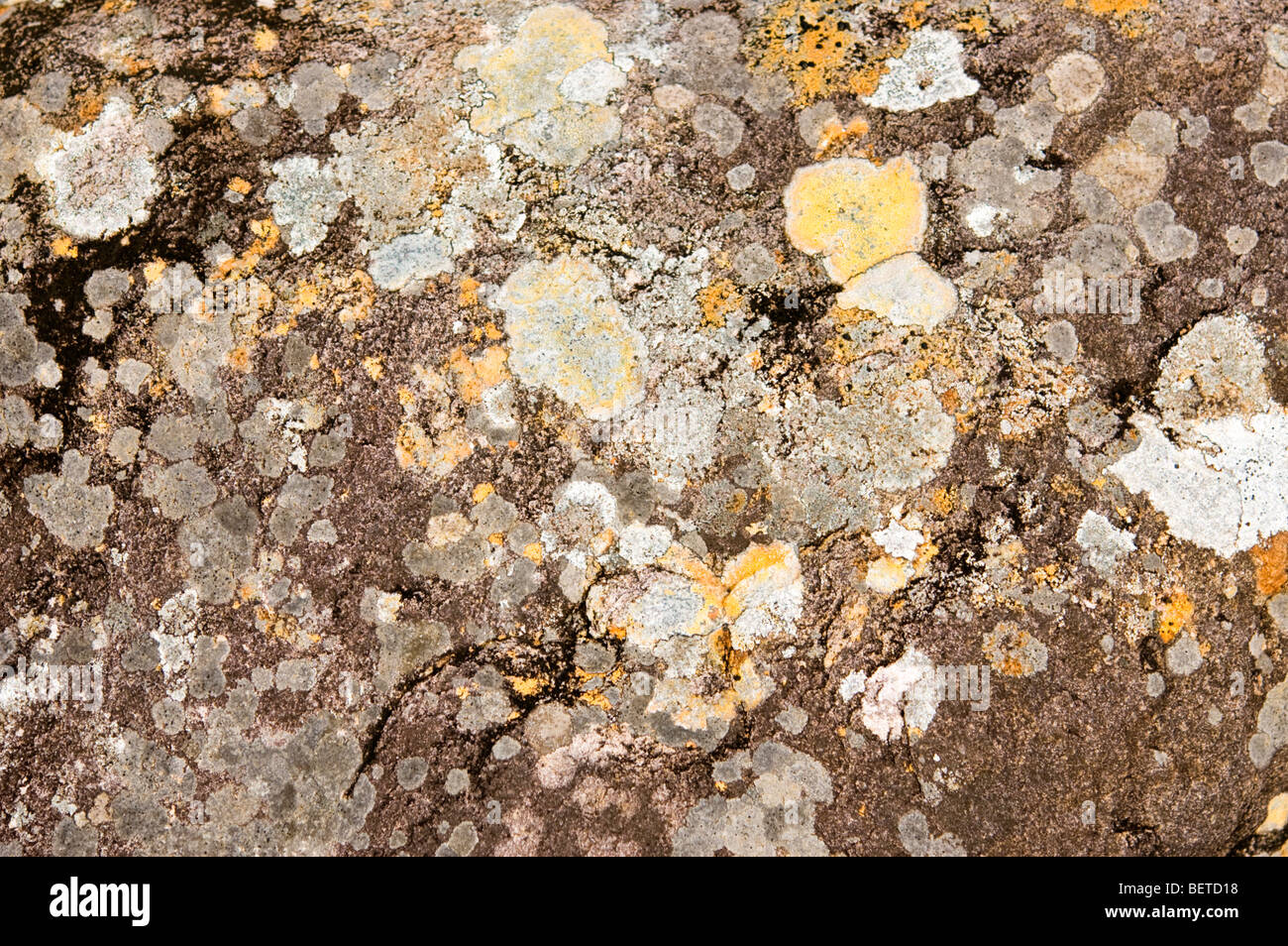 Stained wall textured background Stock Photo - Alamy