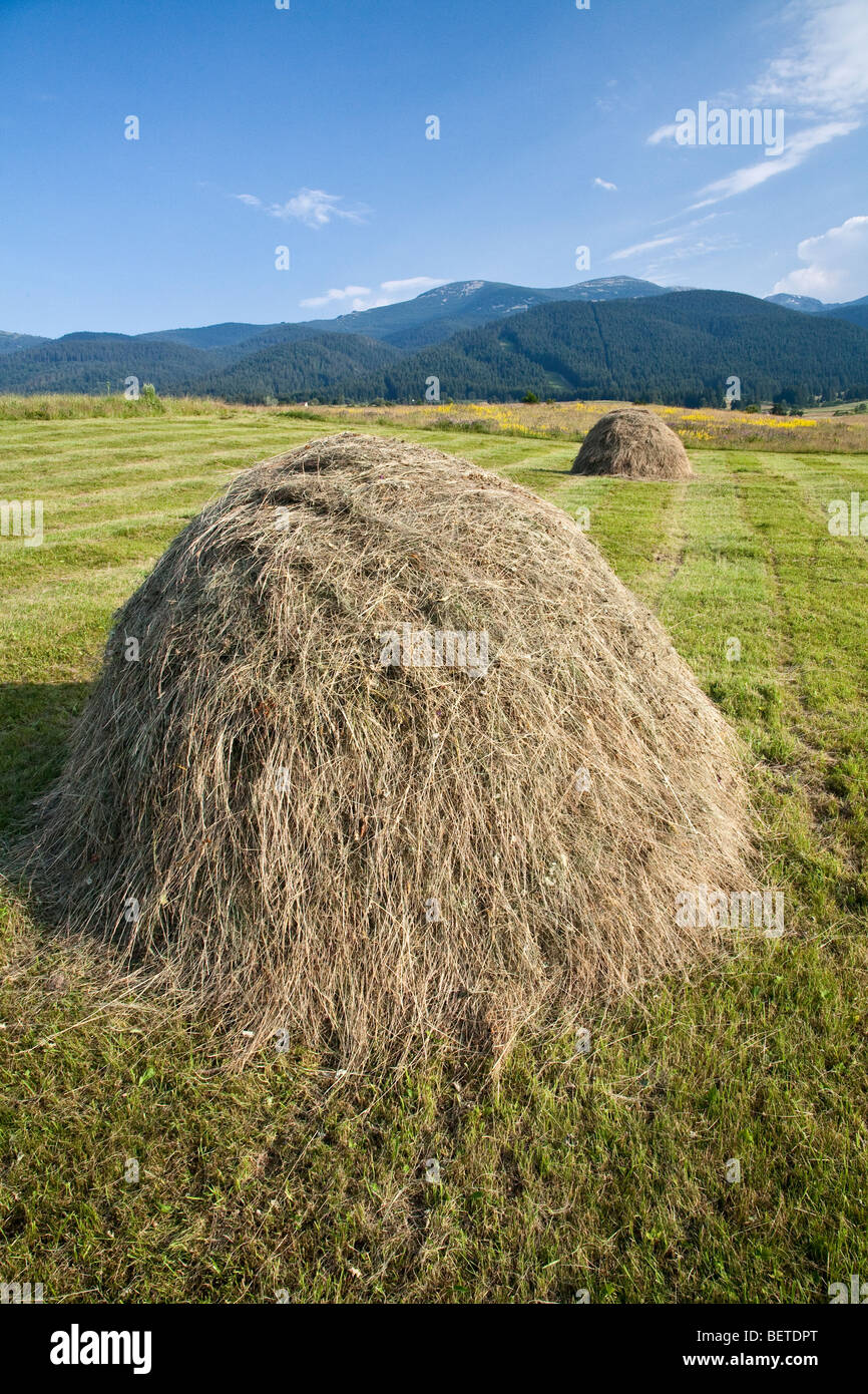 Hayricks hi-res stock photography and images - Alamy