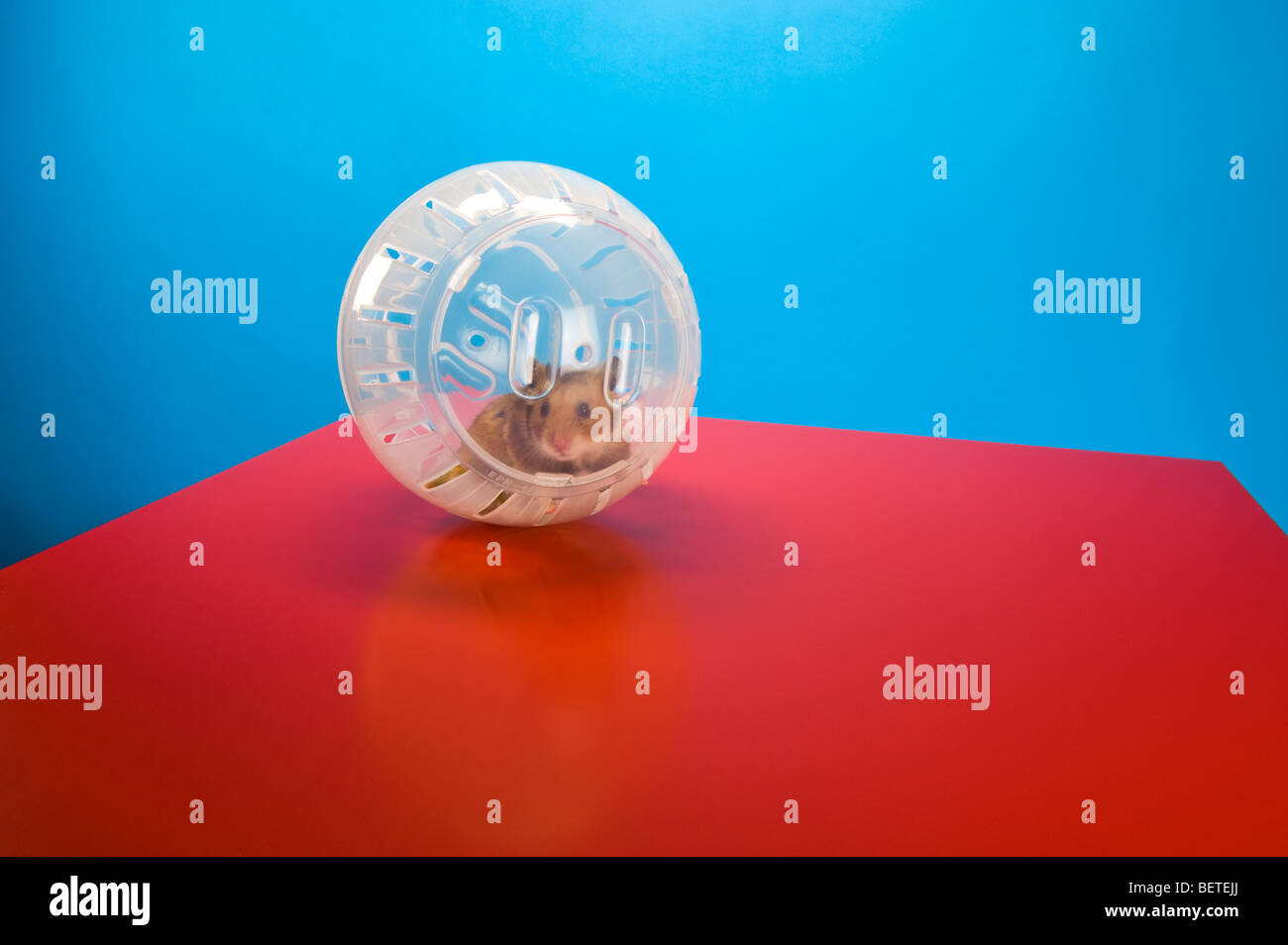 Outline of exercise hi-res stock photography and images - Alamy