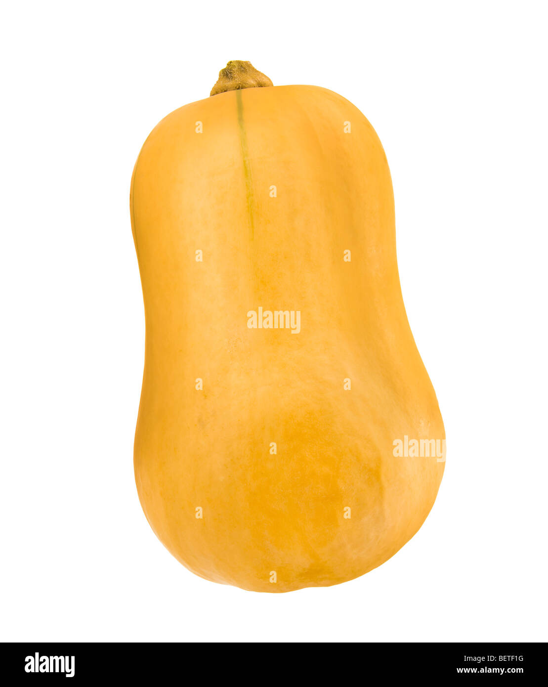 Butternut Squash Carving