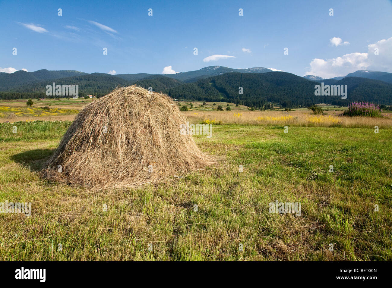 Hayrick hi-res stock photography and images - Alamy
