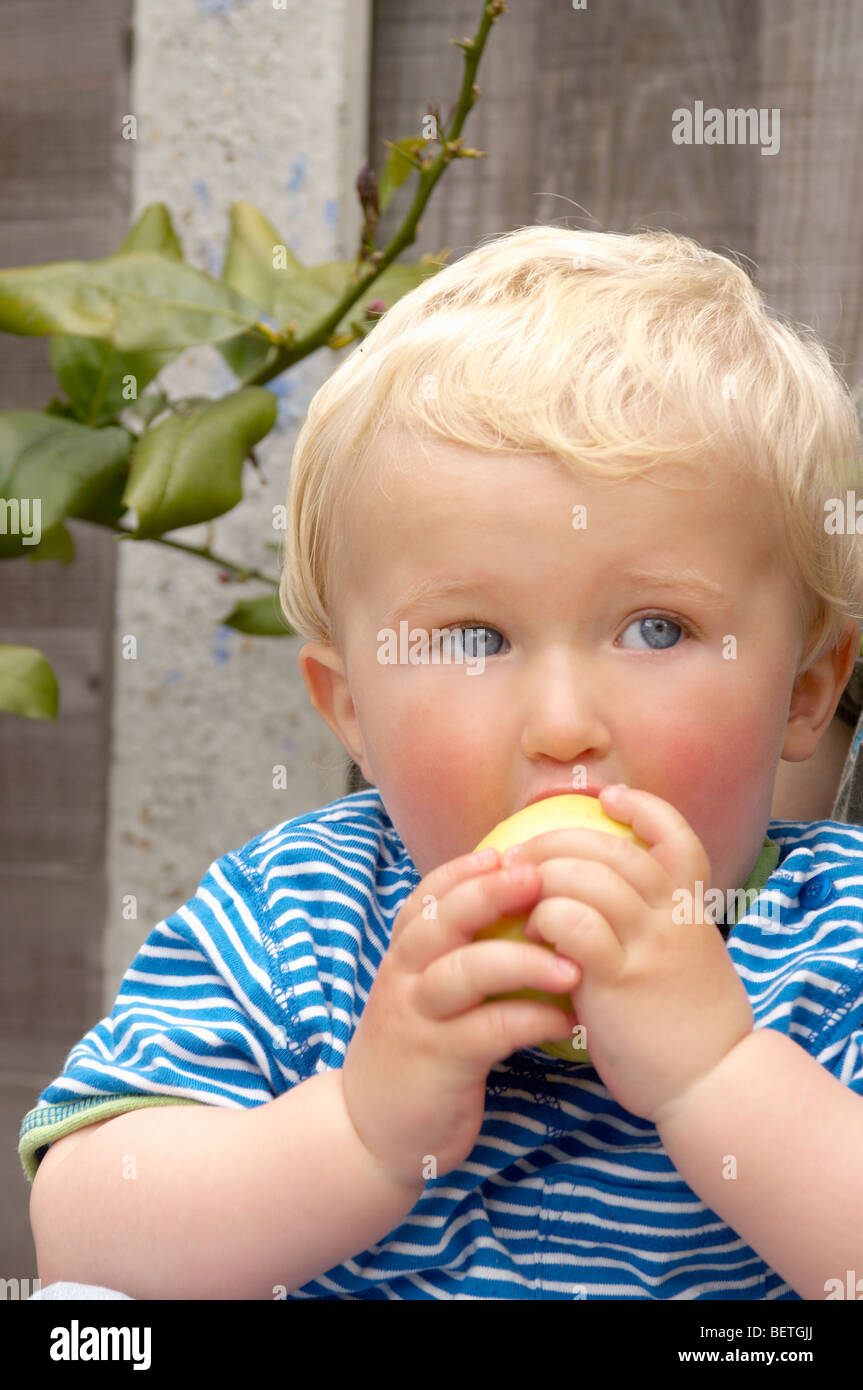 young boy eating fruit Stock Photo - Alamy