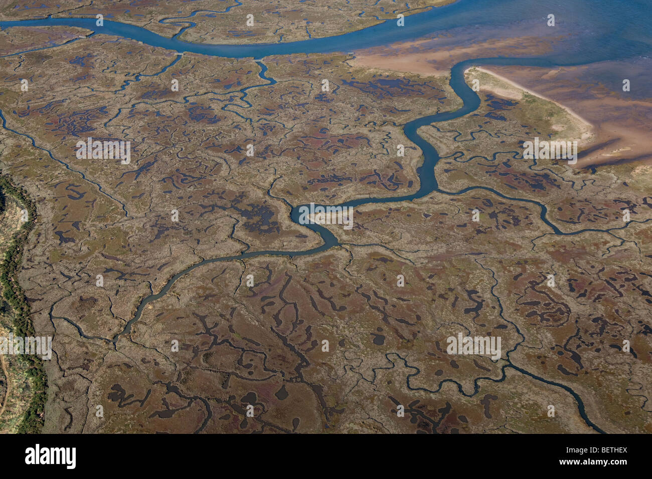 Wareham Saltmarshes Norfolk UK September Stock Photo - Alamy