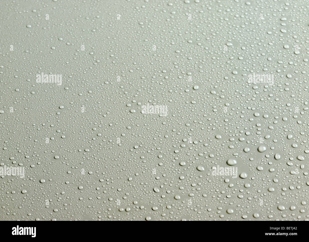 water droplets on surface Stock Photo - Alamy
