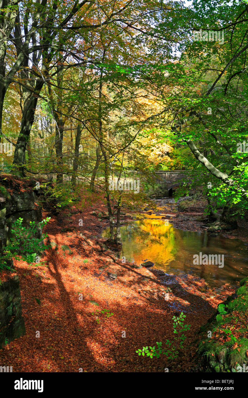 Halliwell hi-res stock photography and images - Alamy