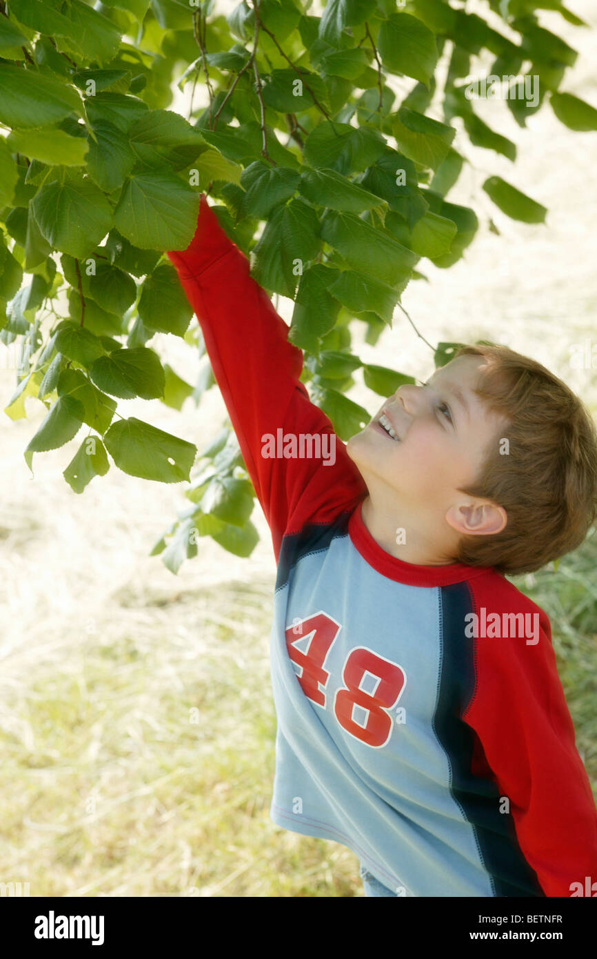young boy outdoors reaching up to touch the leaves of a tree Stock ...