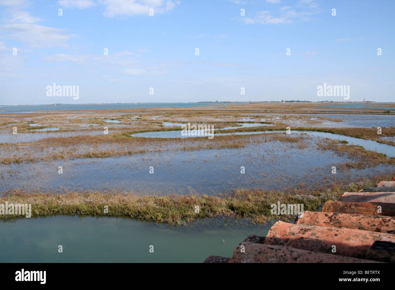 channels and salt marsh Venice lagoon from island of Lazzaretto Nuovo ...