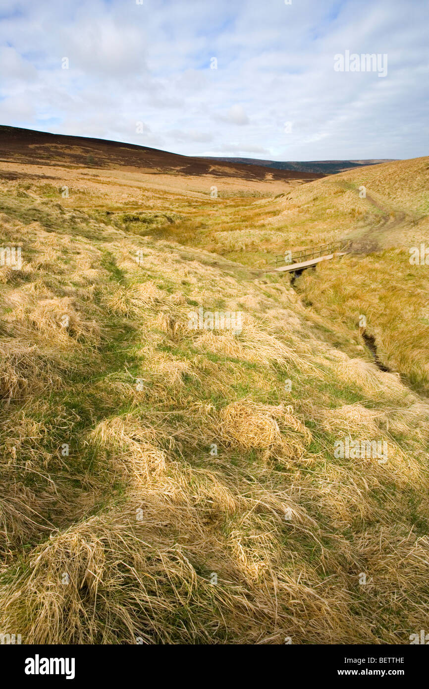 Footbridge across Wildmoorstone Brook on Wild Moor in the Goyt Valley ...