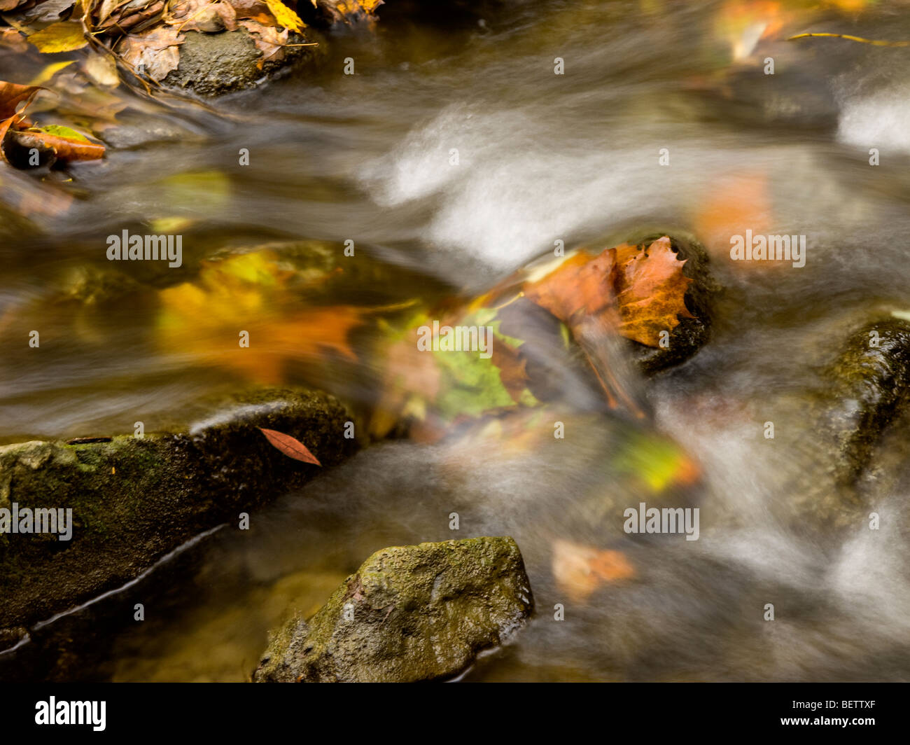 Autumn scenes hi-res stock photography and images - Alamy
