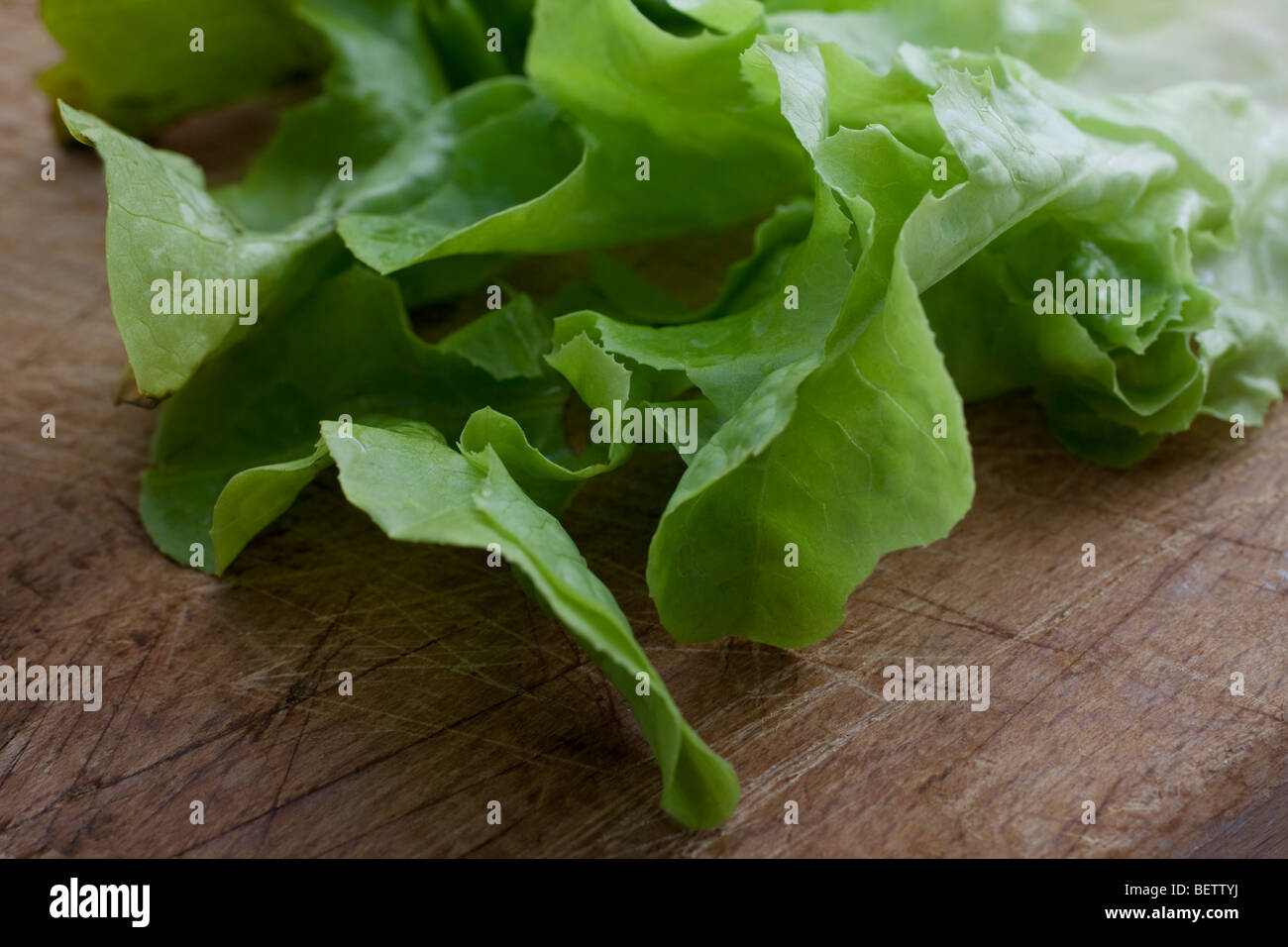 Lettuce leaves on a slice board Stock Photo - Alamy