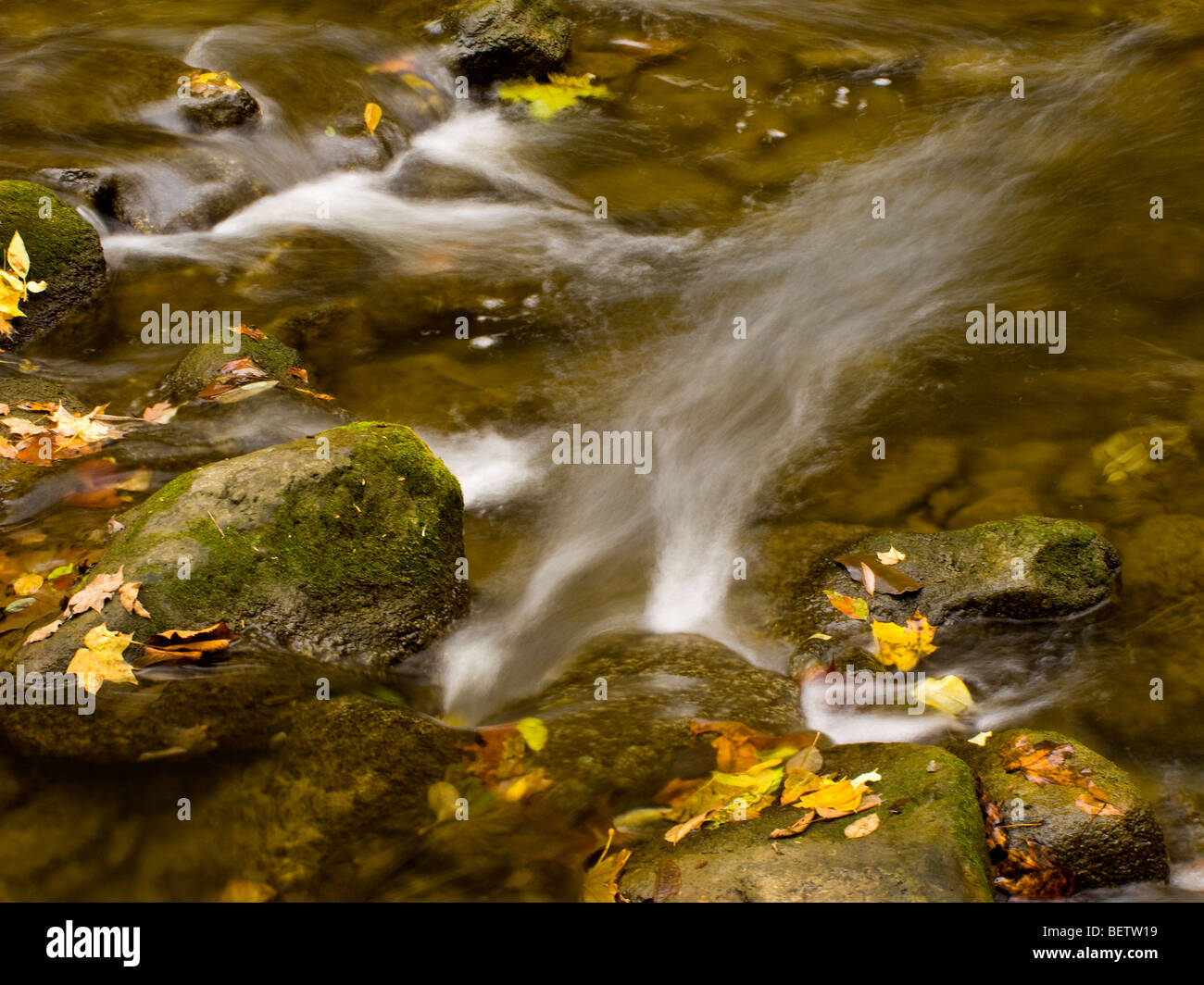 Autumn scenes with rushing stream Stock Photo - Alamy