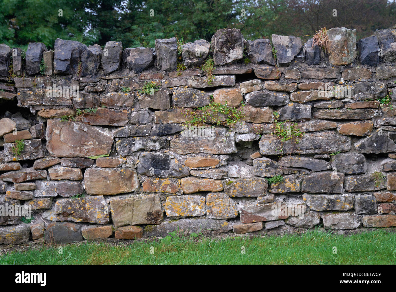 A Dry Stone wall in Downham in the Ribble Valley in Lancashire England ...