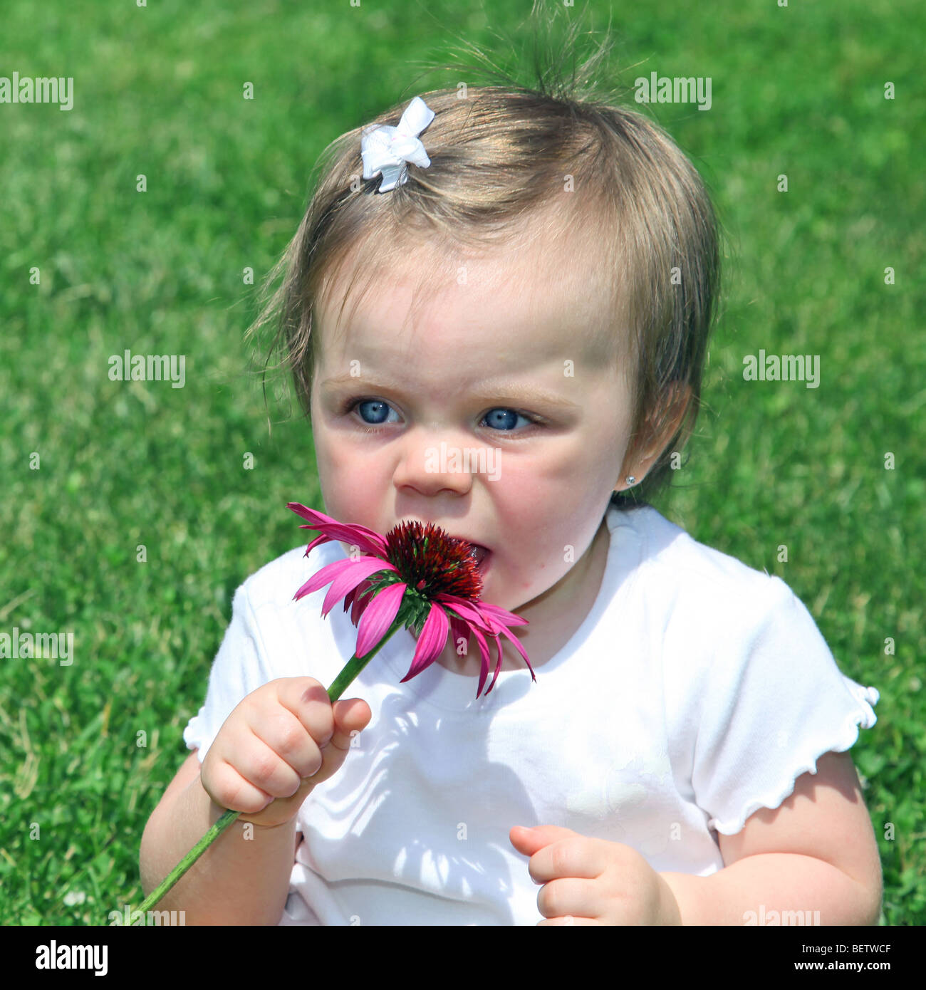 baby with flowe Stock Photo - Alamy