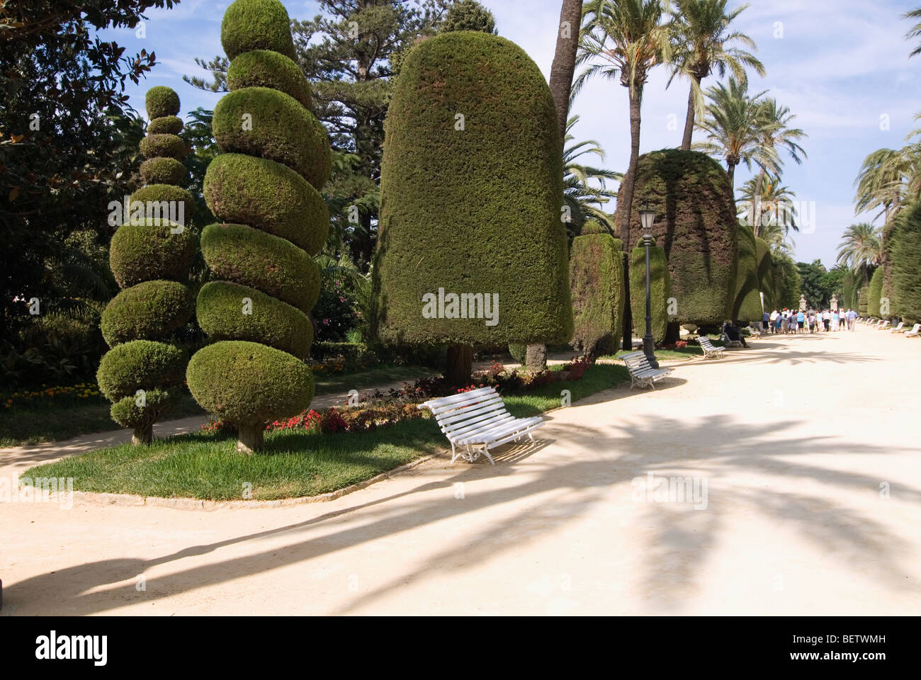 Parque Genoves in Cadiz, Andalucia. Spain Stock Photo - Alamy