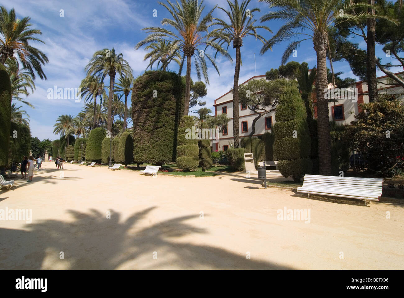 Parque genoves in cadiz hi-res stock photography and images - Alamy