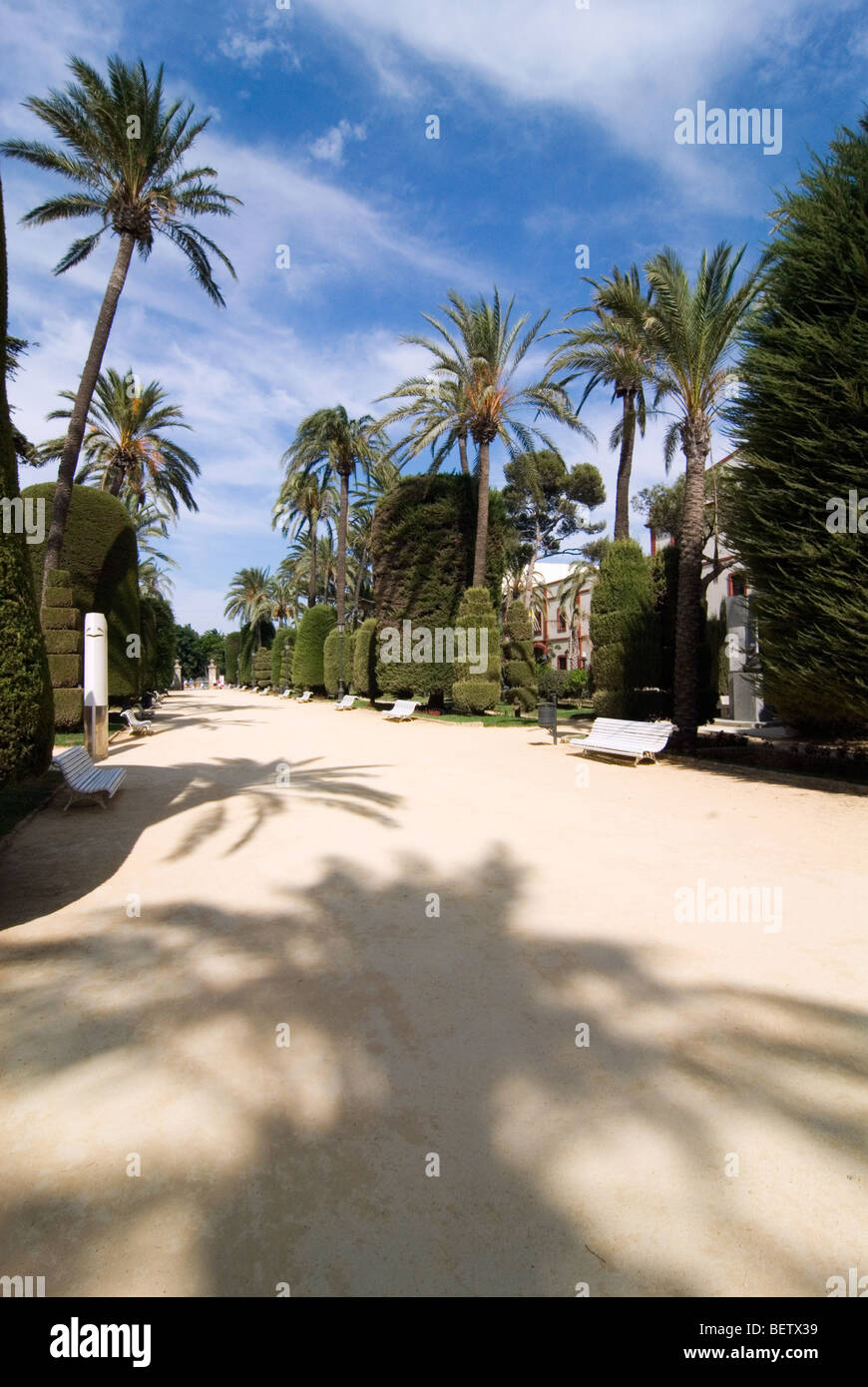 Parque Genoves in Cadiz, Andalucia. Spain Stock Photo - Alamy