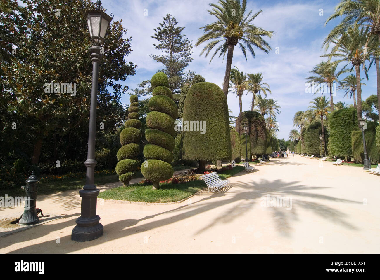 Parque Genoves in Cadiz, Andalucia. Spain Stock Photo - Alamy