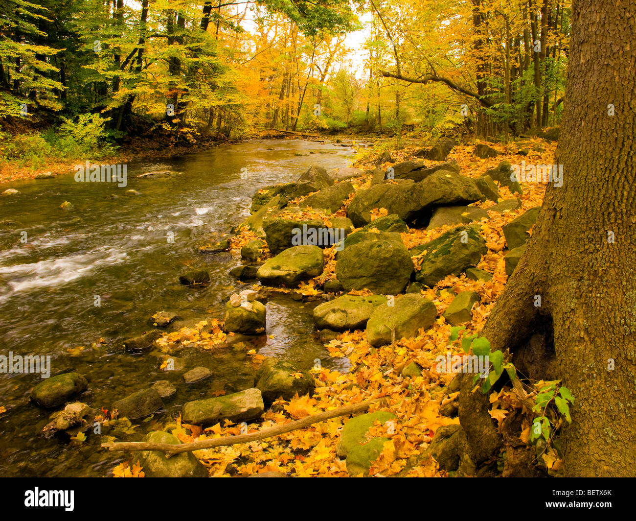Autumn scenes hi-res stock photography and images - Alamy
