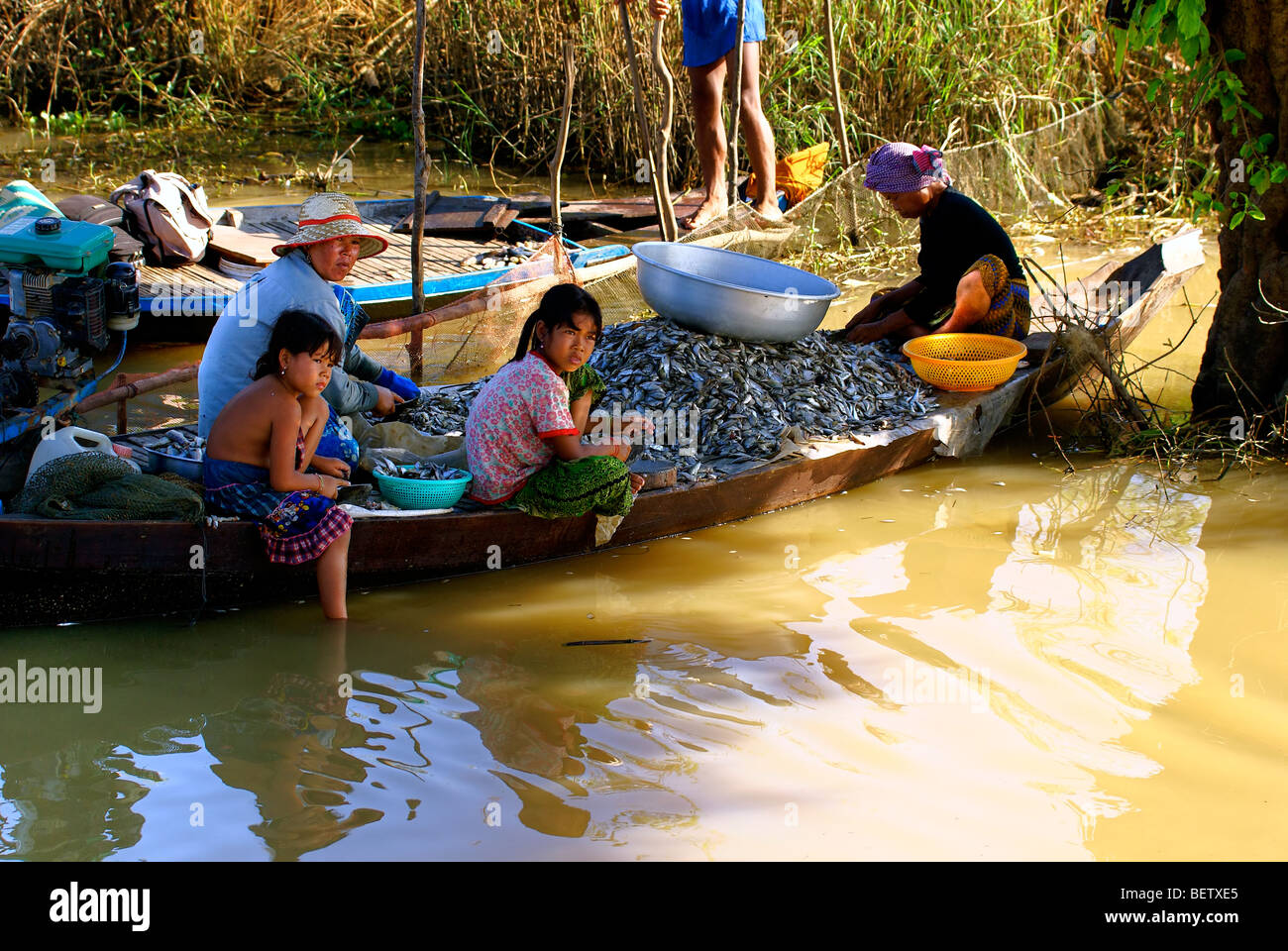 Tonle sap river cambodia fish hi-res stock photography and images - Alamy