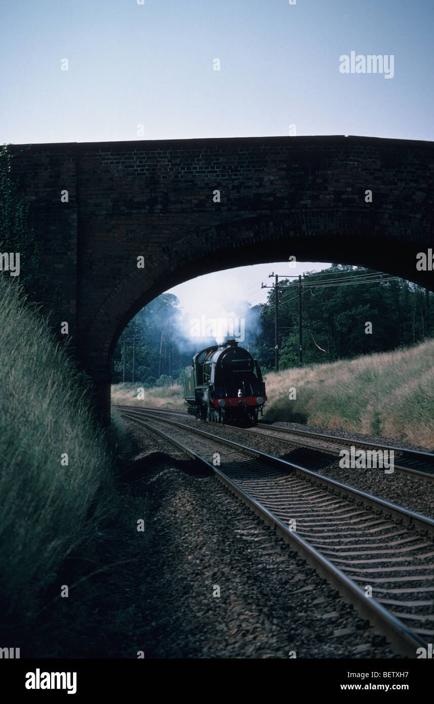 Steam train coming under bridge Stock Photo - Alamy