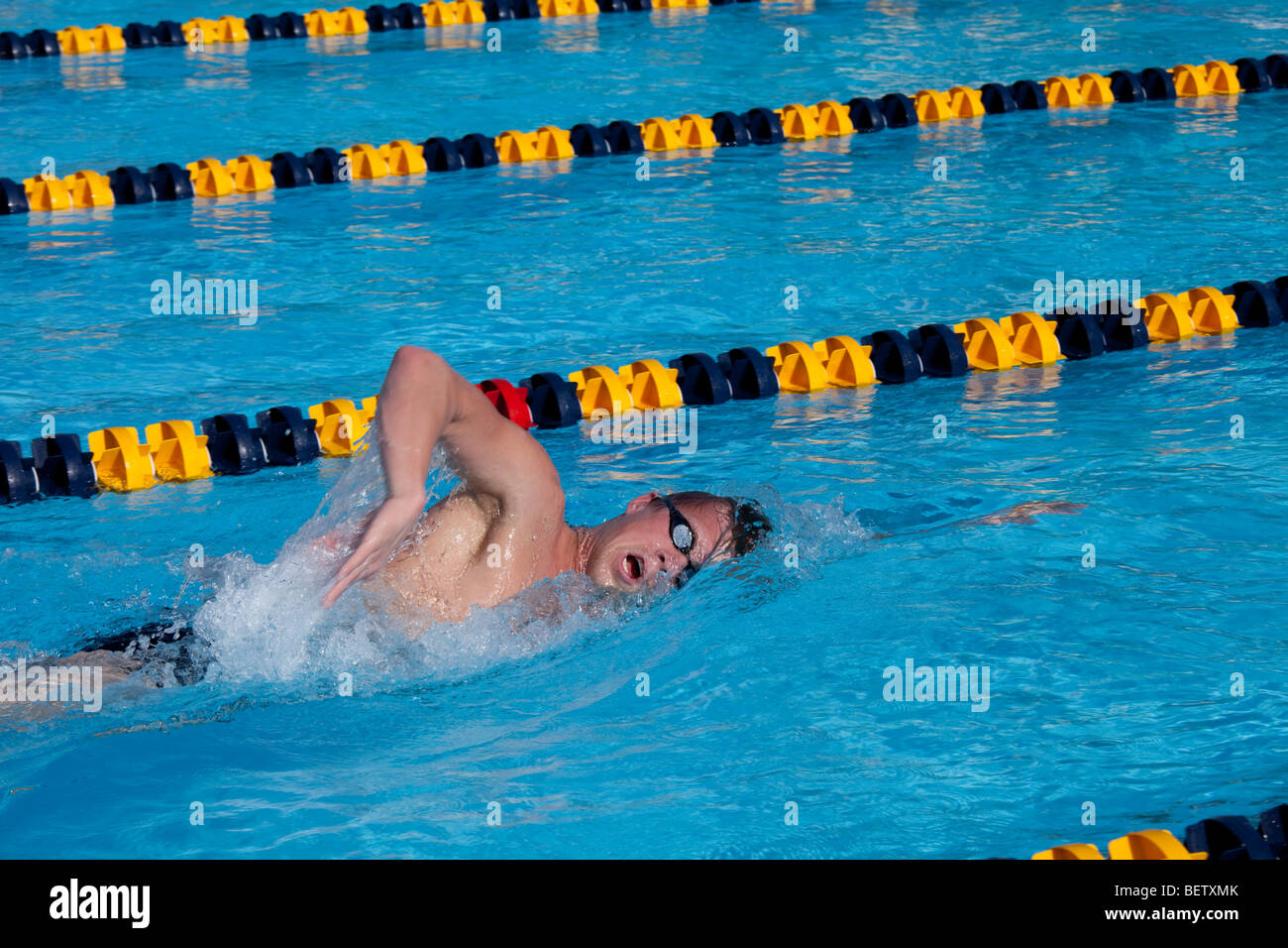 Training for swimming competition Stock Photo - Alamy