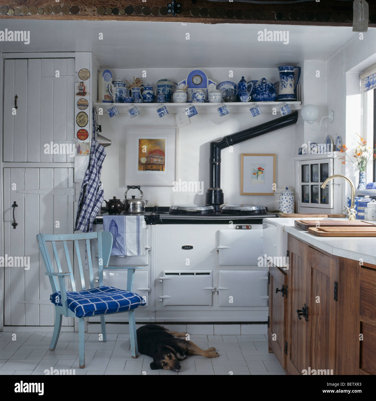 Dog kitchen blue chair hi-res stock photography and images - Alamy