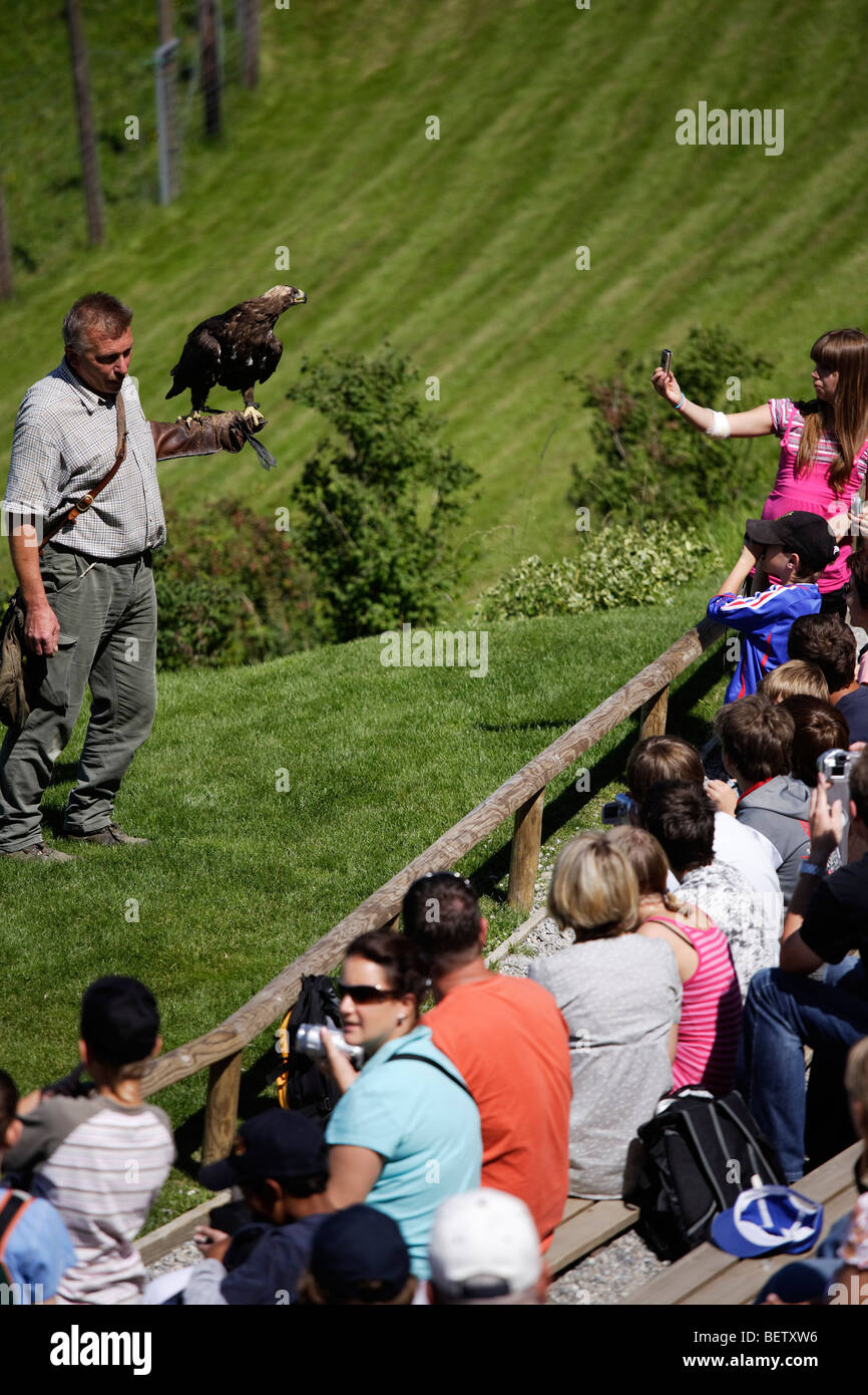 Spectators visiting falconry display, Pfander, Bregenz, Vorarlberg ...