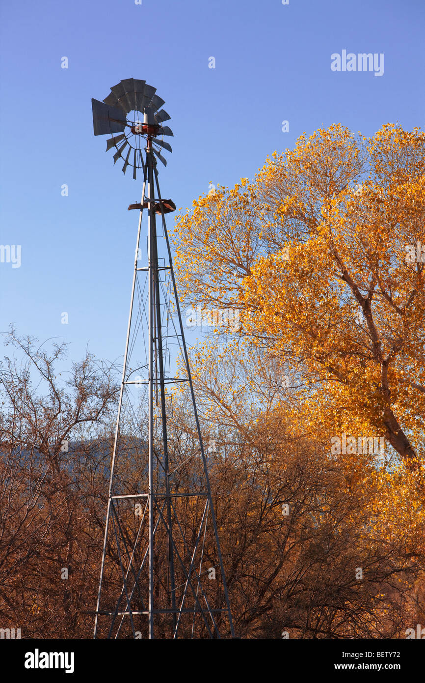 An old windmill set in autumn colors Stock Photo - Alamy