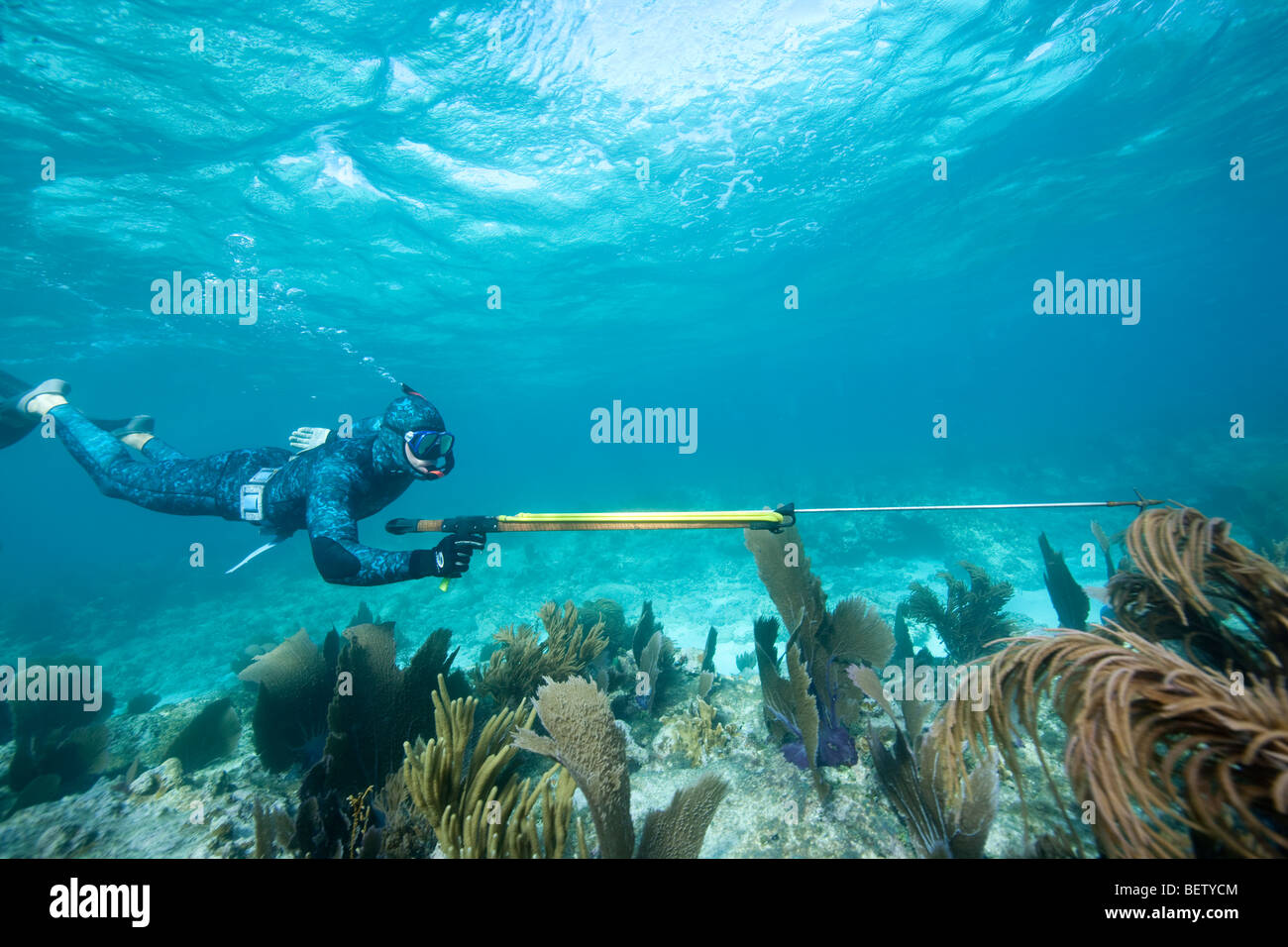 Spearfishing hi-res stock photography and images - Alamy