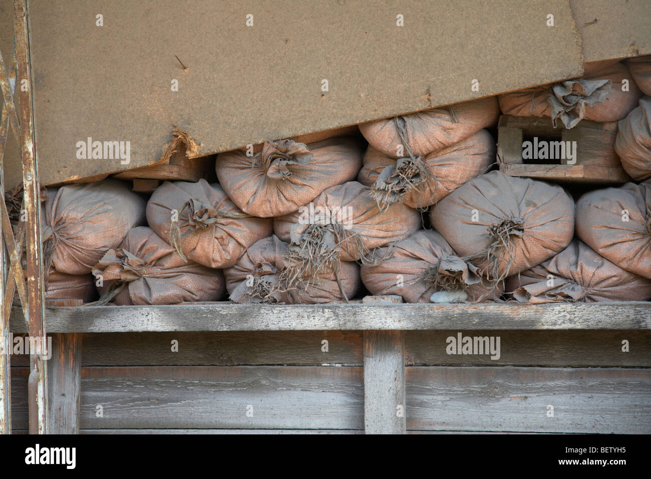 old sandbags and firing positions in restricted area of the UN buffer ...