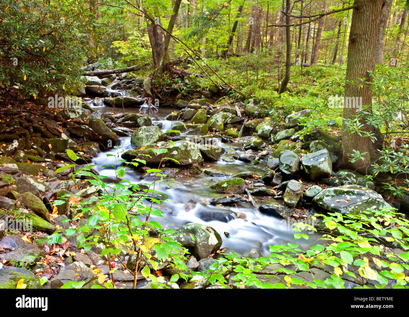 Creek, Great Smoky Mountains National Park, Tennessee Stock Photo - Alamy