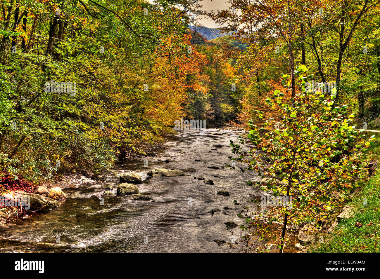 Little River, Great Smoky Mountains National Park, Tennessee Stock ...