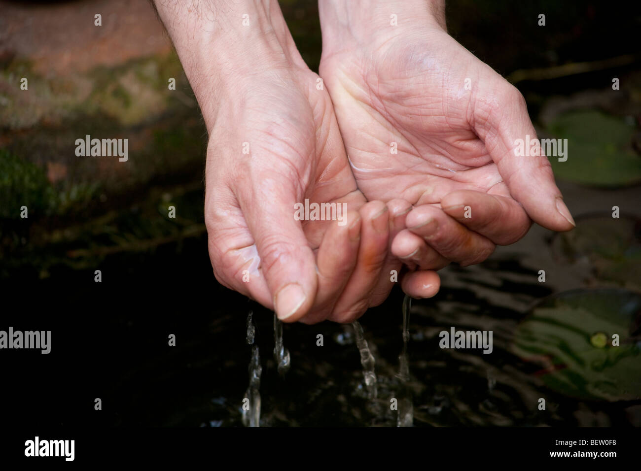 Two hands dipping in water hi-res stock photography and images - Alamy